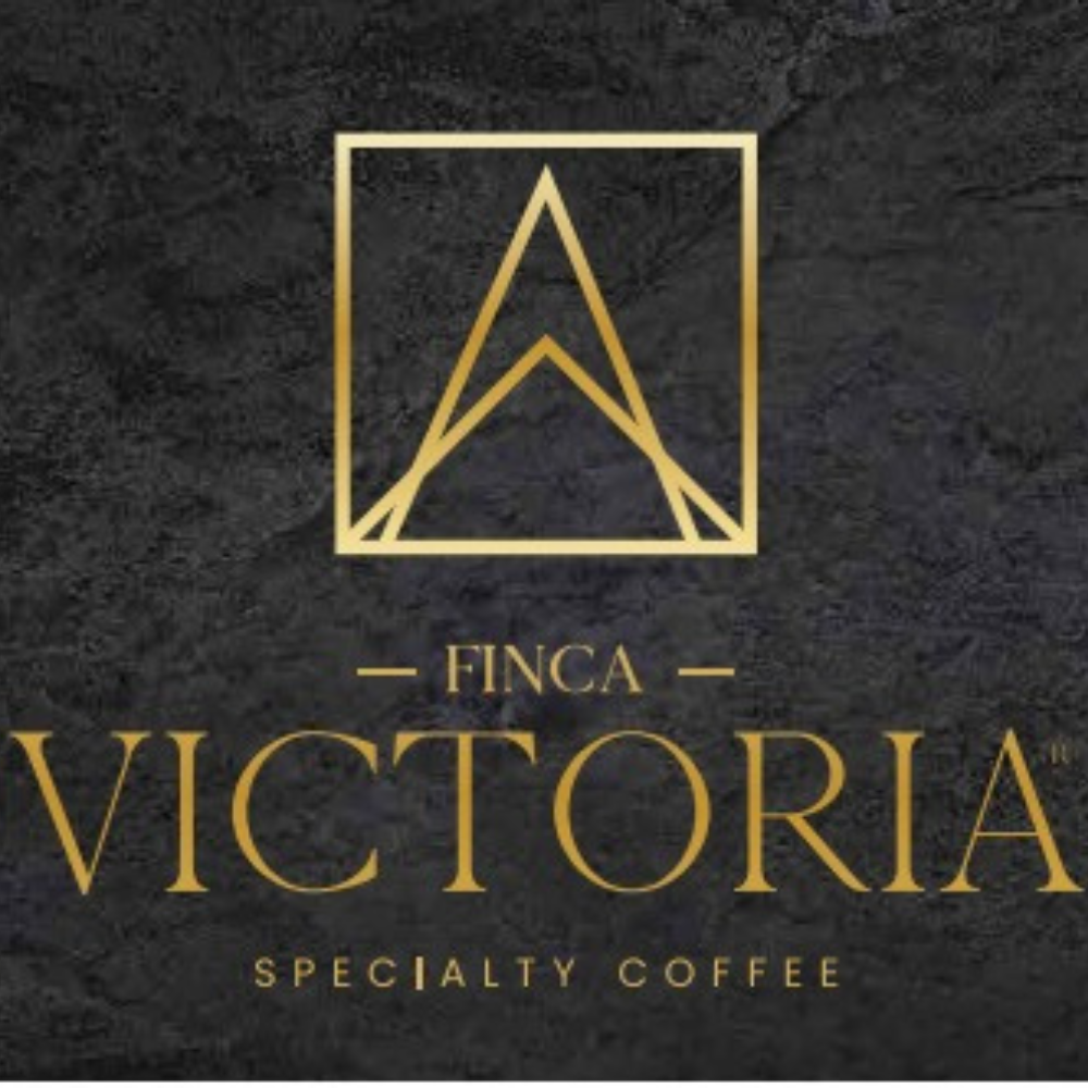 Café Victoria - LULA PET CLAN